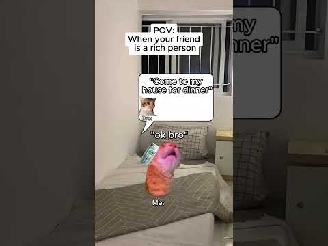 CAT MEMES 🐱 When your friend is a rich person #shorts #catmemes #relatable