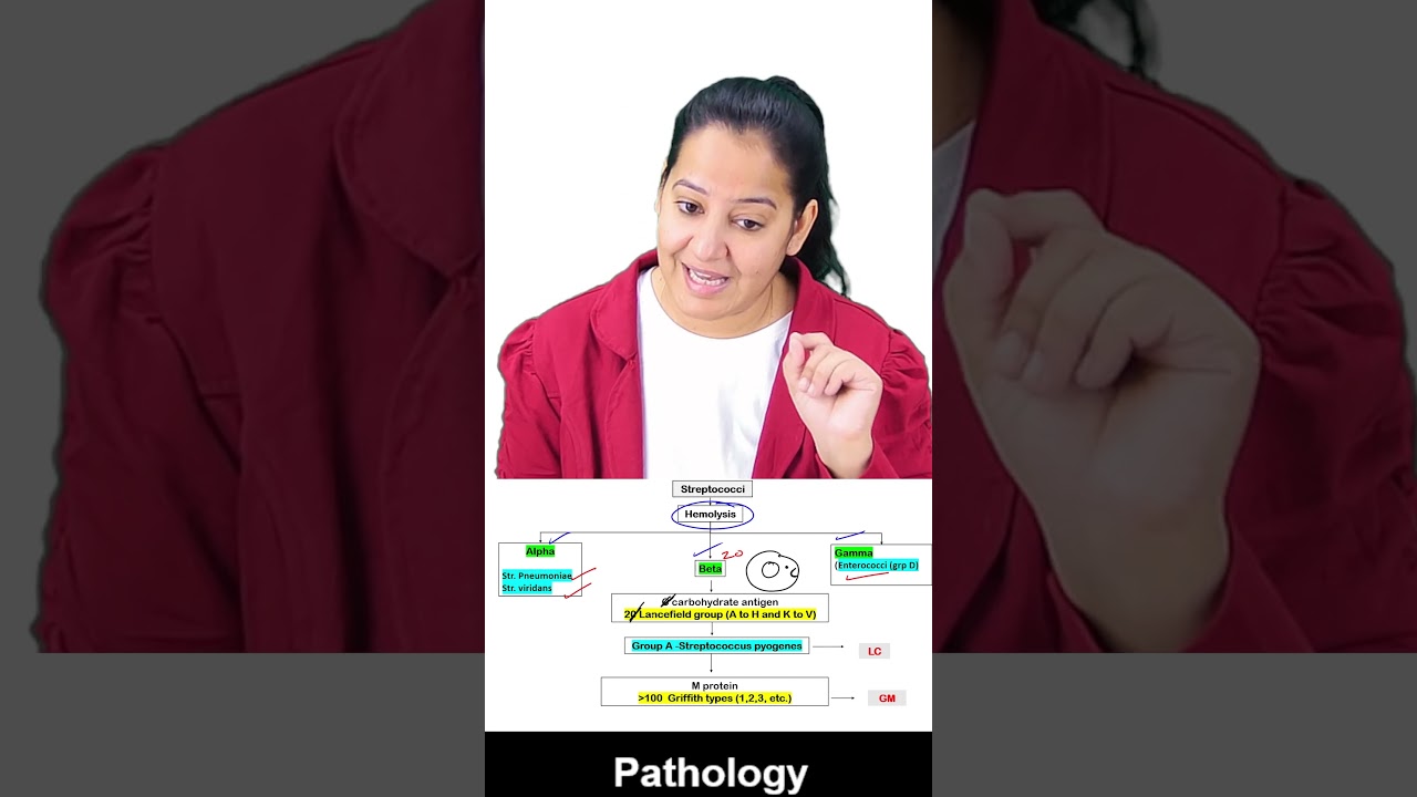1 minute learning:   Streptococcus  Classification
