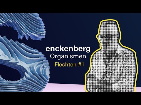 Flechten #1: Was sind Flechten?