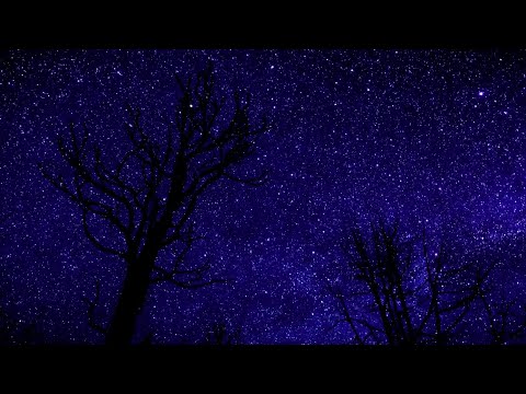 A Billion Dreams. A dreamy, bedtime poetry reading.