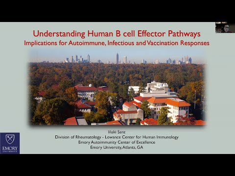 AIRRC5 - Human B cell Effector Pathways (Autoimmune, Infectious and Vaccination responses) (I. Sanz)