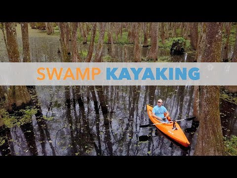 SWAMP KAYAKING in 4k