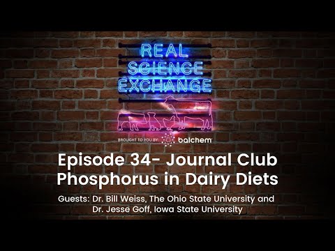 Real Science Exchange: 2022 Journal Club- Phosphorus in Dairy Diets