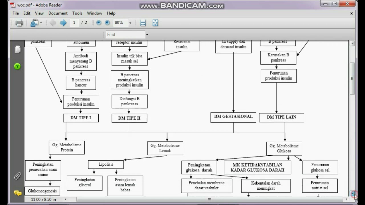 Cara Cerdas Menyusun WOC (Web Of Causation) atau Pathway | KMB 1 (satu) | Nurul Hikmatul Qowi