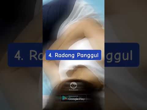 Bunda 5 Masalah Rahim Ini Bisa Bikin Susah Hamil #ibuhamil #kehamilan #rahim #komunitasibuhamil
