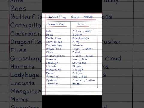 Insect Group Names || 🦗