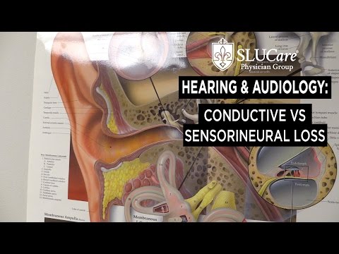 What is the Difference Between Conductive and Sensorineural Hearing Loss - SLUCare Audiology