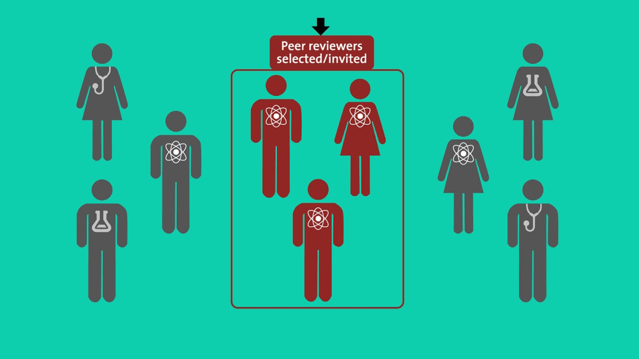 The Peer Review Process