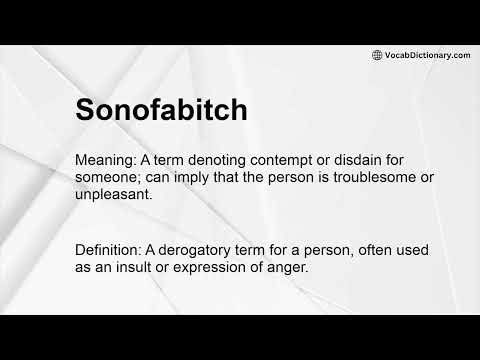 Sonofabitch Meaning