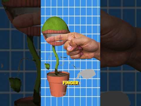 "Would a Venus flytrap cut off your finger? 🤔🪴#Shorts #venusflytrap