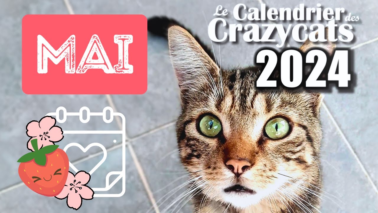 Le calendrier des Crazycats // Mai 2024