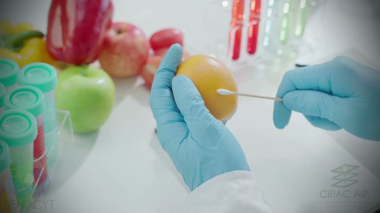 CIPAC-AIP: Frutos Rojos