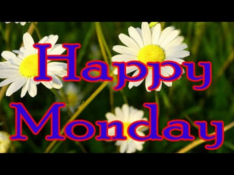 good morning happy monday beautiful images 💐😊