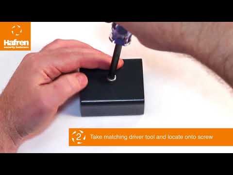 Snake Eye Security Screws - Pig Nose Bolts - Two Hole Screws