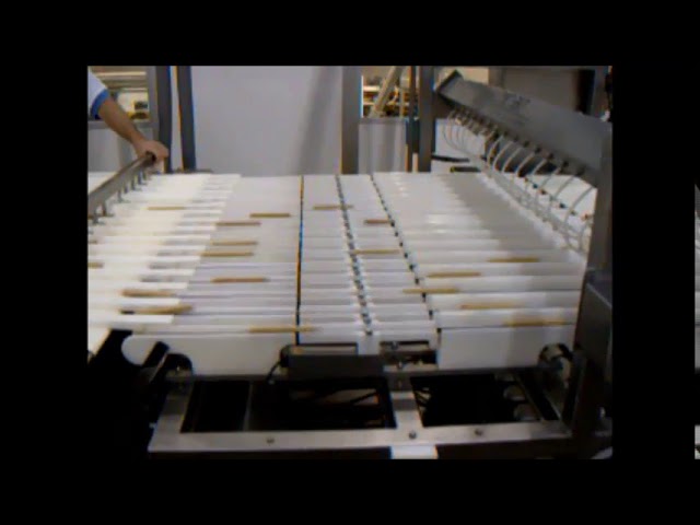 Multi-Lane Checkweighers - Thompson Scale Company - Checkweighers