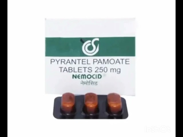 antibiotics - Rifampicin RCIN 300 MG TABLET Service Provider from Nagpur