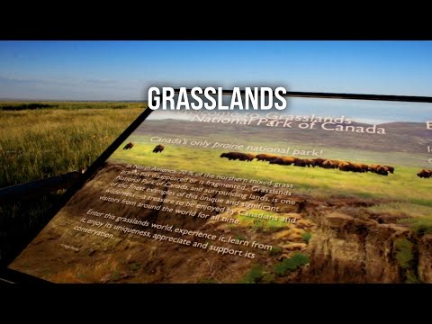 Grasslands National Park - A Southwest Saskatchewan Destination
