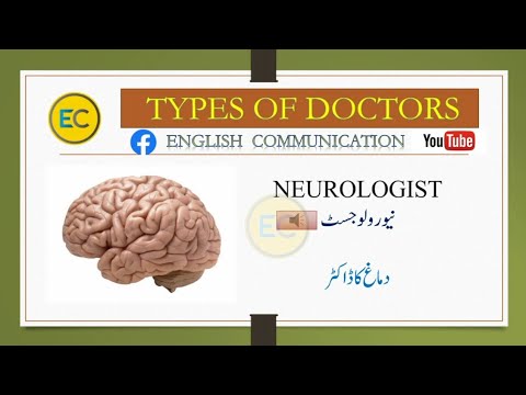 Medical Vocabulary in Urdu | Types Of Doctor Vocabulary Words and Terms in Urdu and Hindi