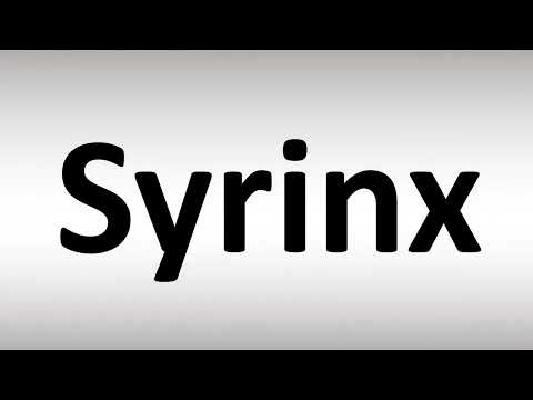 How to Pronounce Syrinx (CORRECTLY)