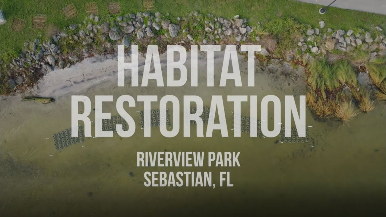 Habitat Restoration Project at Riverview Park in Sebastian, FL