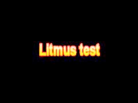 What Is The Definition Of Litmus test