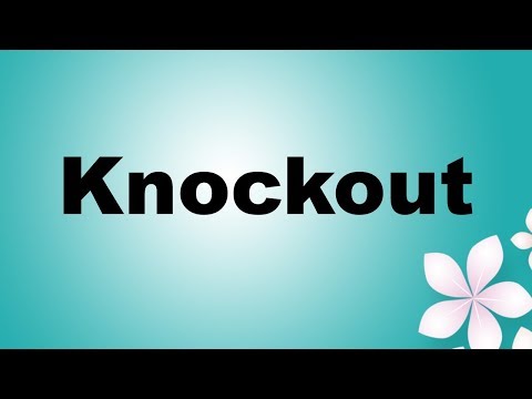 Hindi meaning of knockout