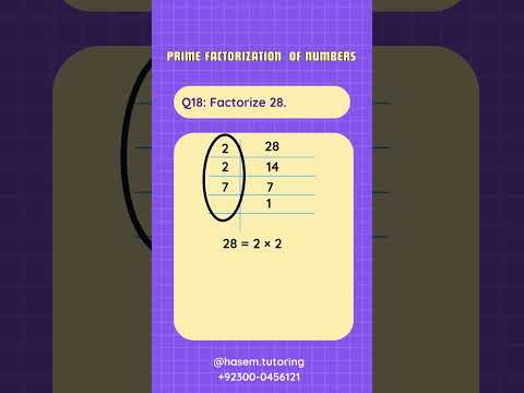 MIND-BLOWING Division Secrets Revealed For Prime Factorization of 28