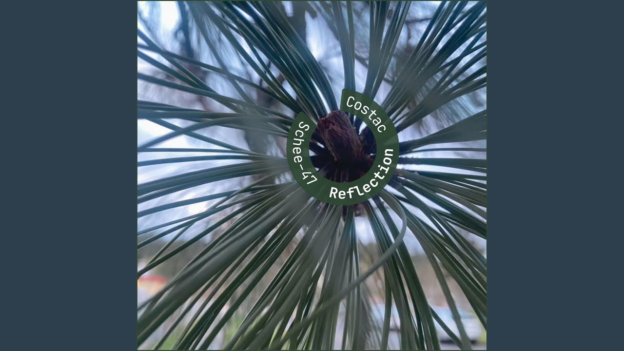 Reflection (feat. Costac)