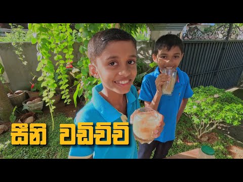 පොලයක් නිසා වෙච්ච දෙයක් | Something that happened because of a coconut #vlog15