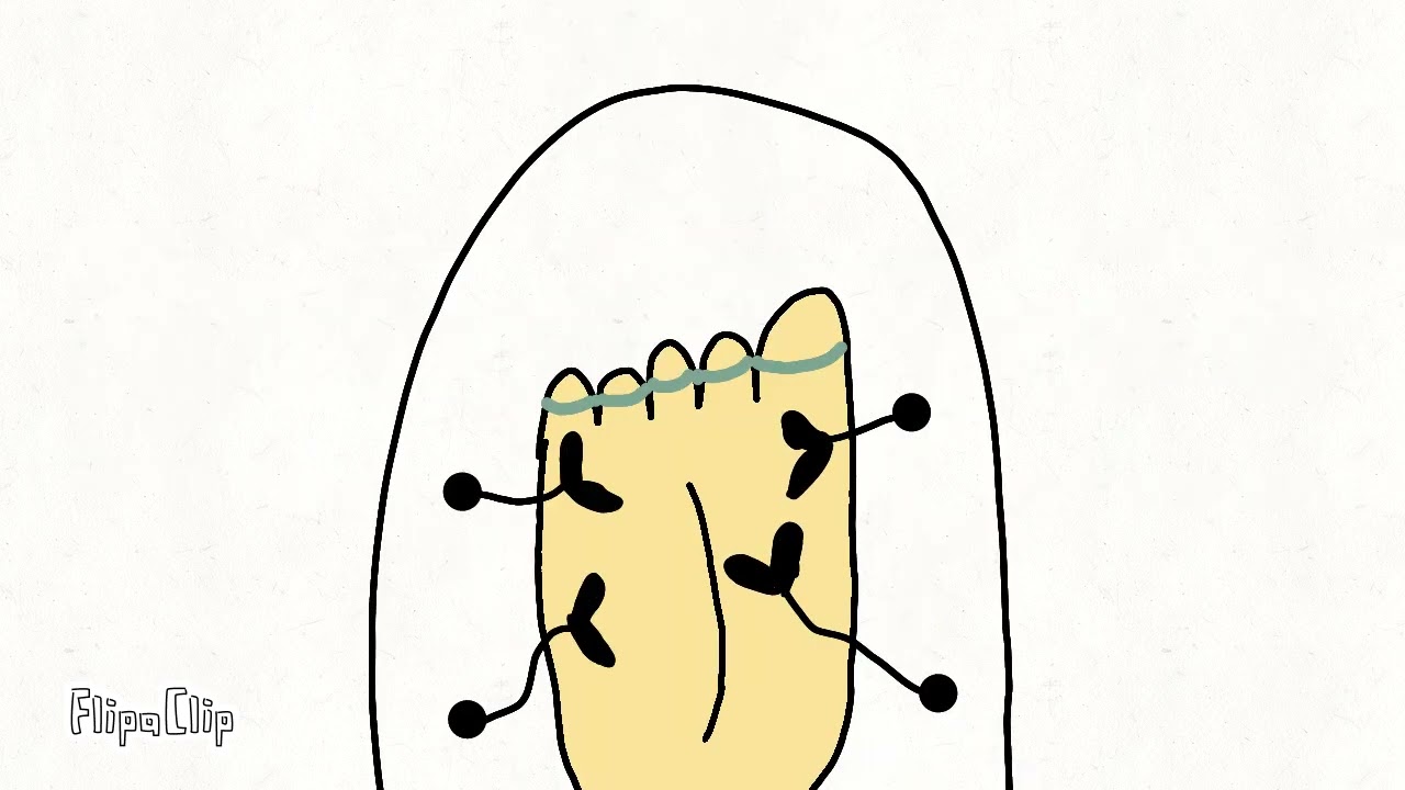 Tickle Sophia animation p2