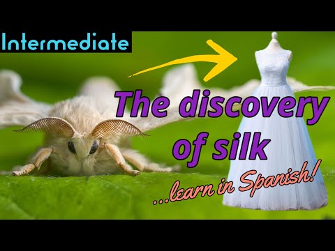 Listen and Learn Spanish - Silk's Secret (Intermediate Spanish Lesson)