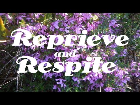 Reprieve and Respite | Chronic Aches | Pain | Relief | Isochronic Tones | Binaural Beats
