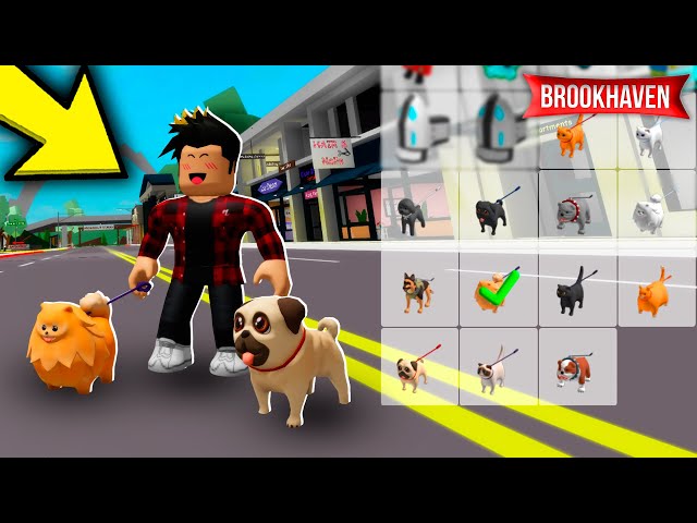 5 tips to know when playing Roblox Brookhaven RP