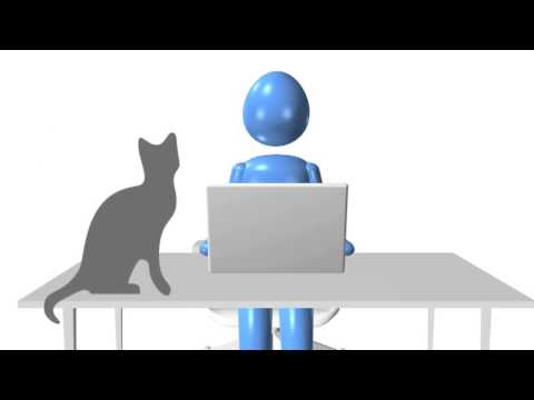 Explaining Prodeceo