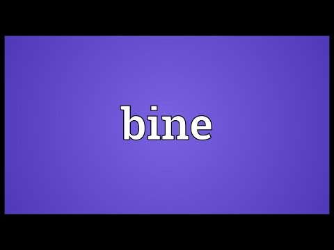 Bine Meaning