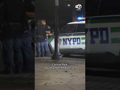 2 robberies in 24 hours in Central Park amid rise in crime