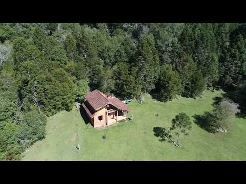 Assessoria de comunicação no Instituto Curicaca | Jadde Molossi da Silva