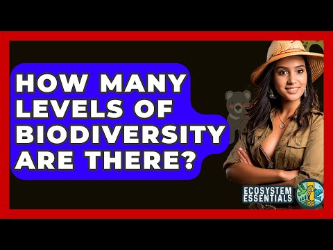 How Many Levels Of Biodiversity Are There? - Ecosystem Essentials
