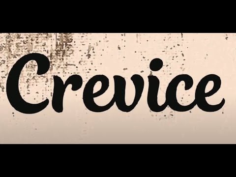 "Crevice" | Word of the Day | Words To Use