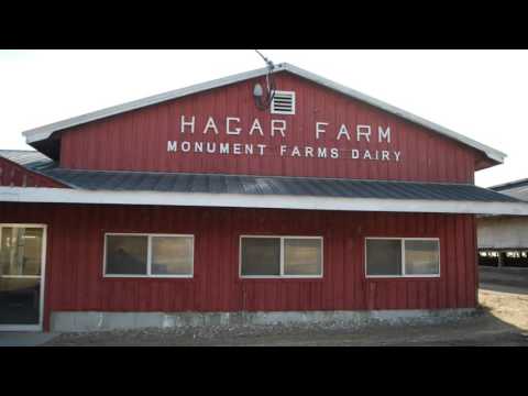 A View of Monument Farms Dairy