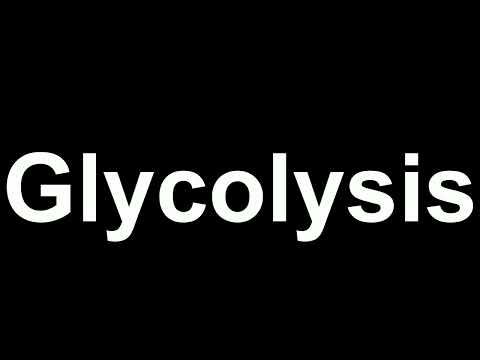 How to Pronounce: "Glycolysis"