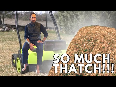 How to DETHATCH A LAWN AND WHEN TO DO it.