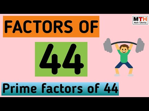 Factors of 44 | Prime factors of 44 Explained