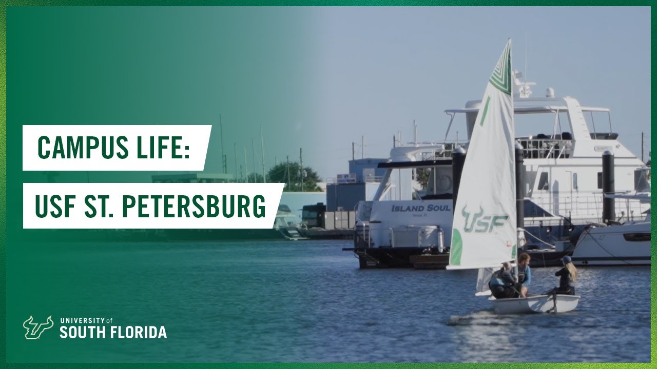 Campus Life: USF St. Petersburg | University of South Florida
