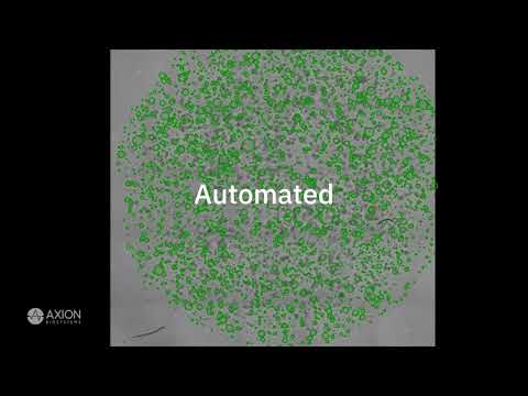 Organoid Analysis Module for Omni Live-Cell Imaging Systems