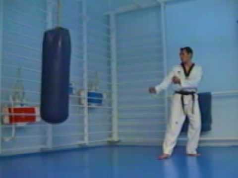 Bandal Chagui | tecnicas