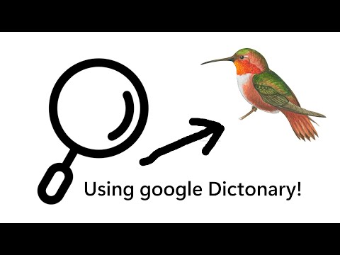 Looking up Definitions of words using Google Dictonary until I get hummingbird...