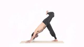 asana – posizioni | Categorie di video | Haṃsa Libera Scuola di Hatha Yoga