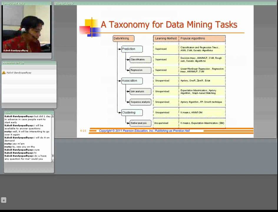 misy 4390 chapter 4 data mining