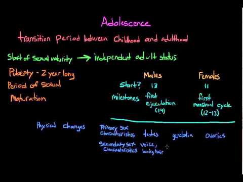 Physical Development in Adolescence